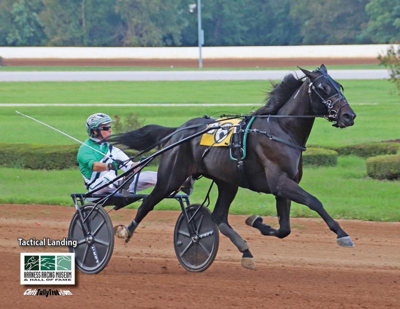 Tactical Landing - Dancing on Moonlight